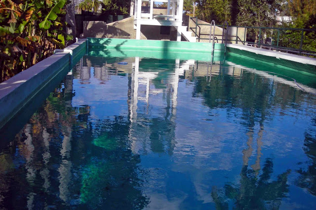 Floridians Love Their Swimming Pools More and More Gigantic ...