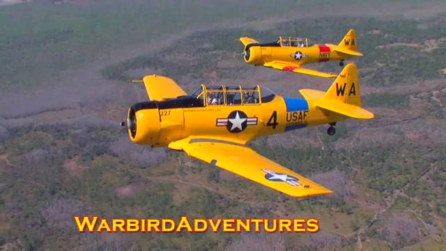 The 10 Craziest Things To Do On A Florida Vacation | floridatraveler